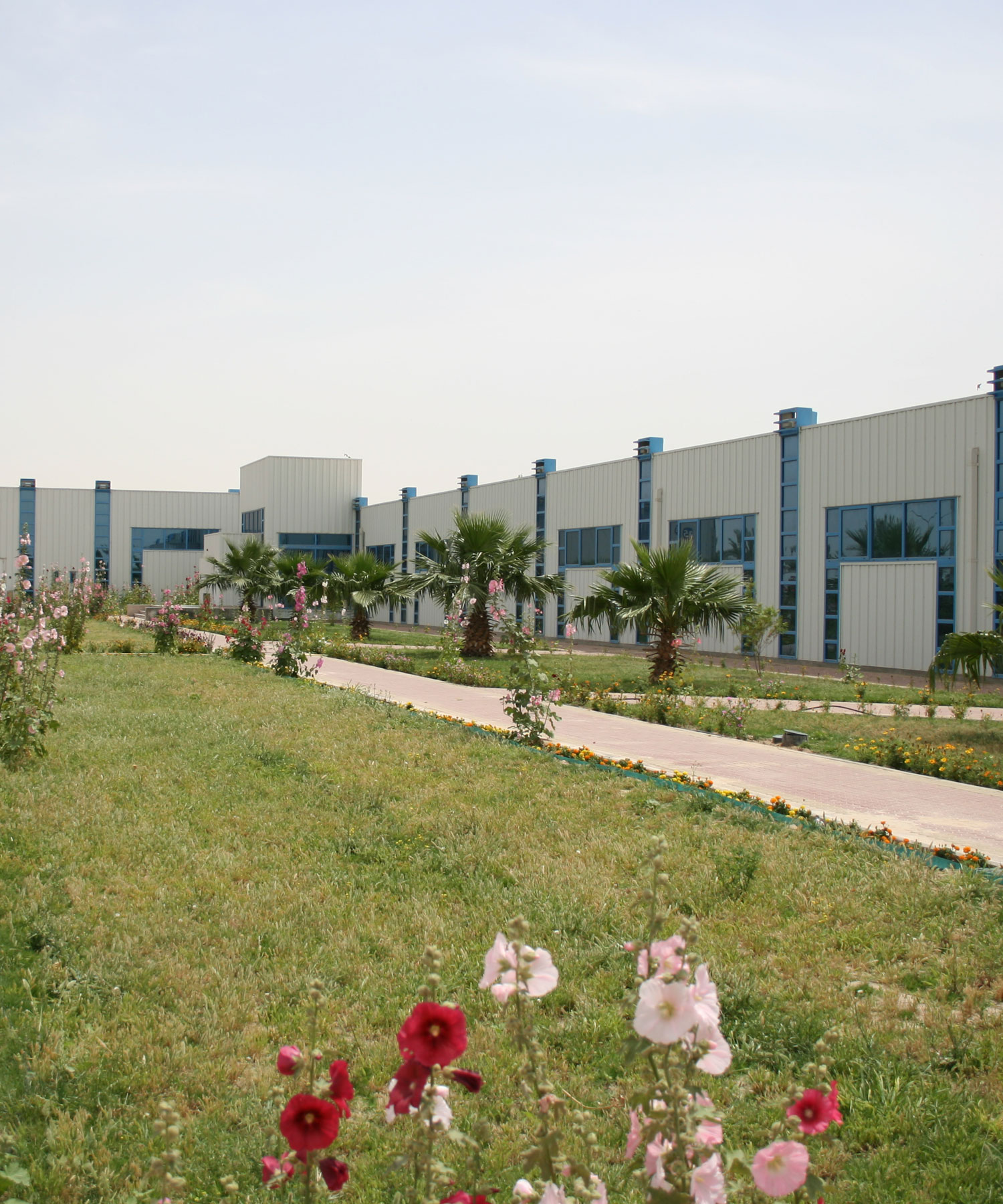 Wafra-Joint Operations