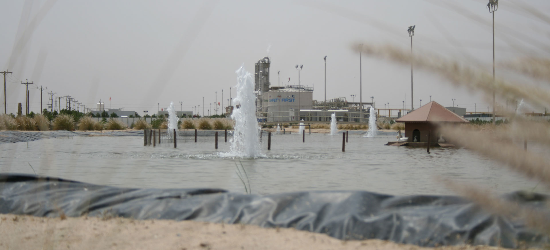 Wafra-Joint Operations