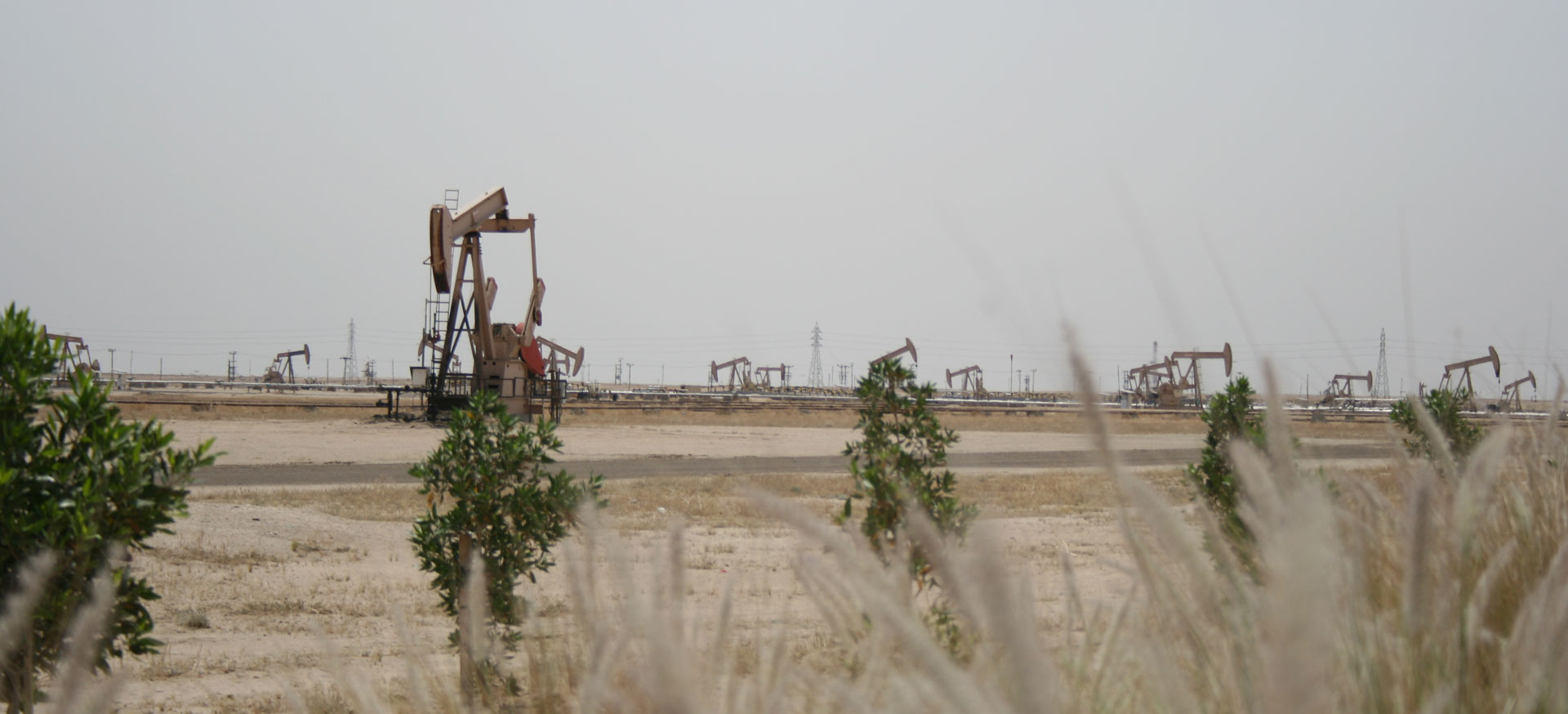 Wafra-Joint Operations